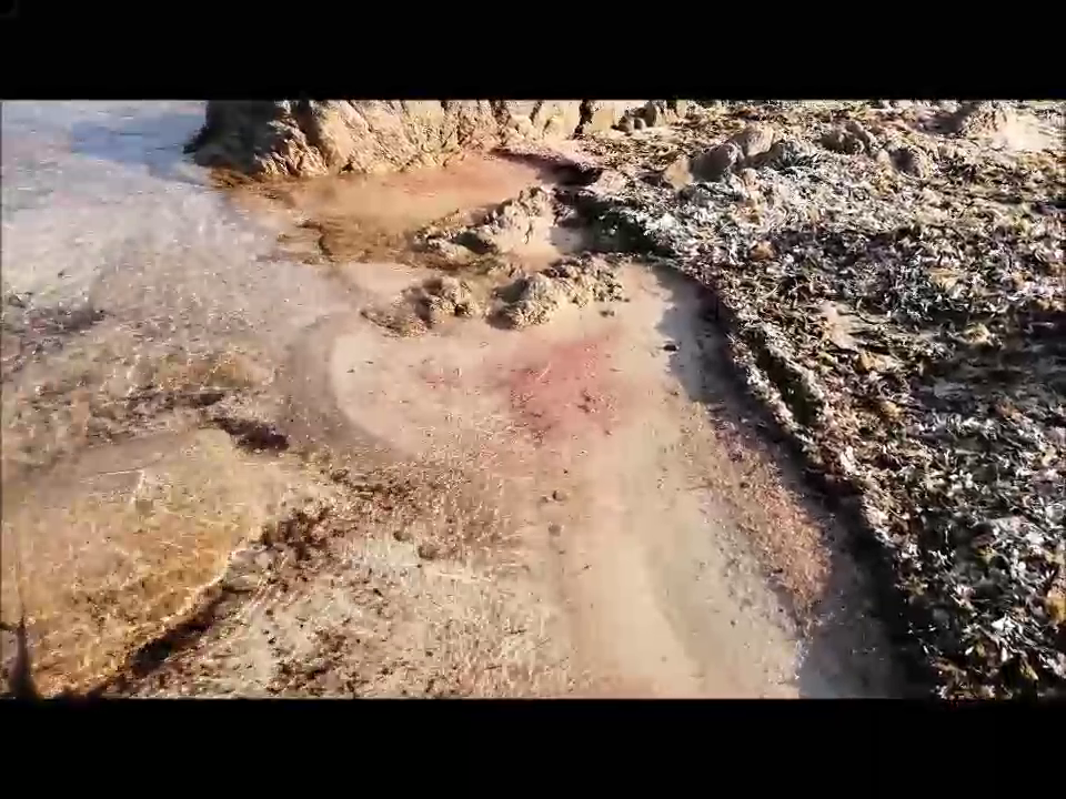 Les couleurs matinales de la Méditerranée entre Corse et Sardaigne